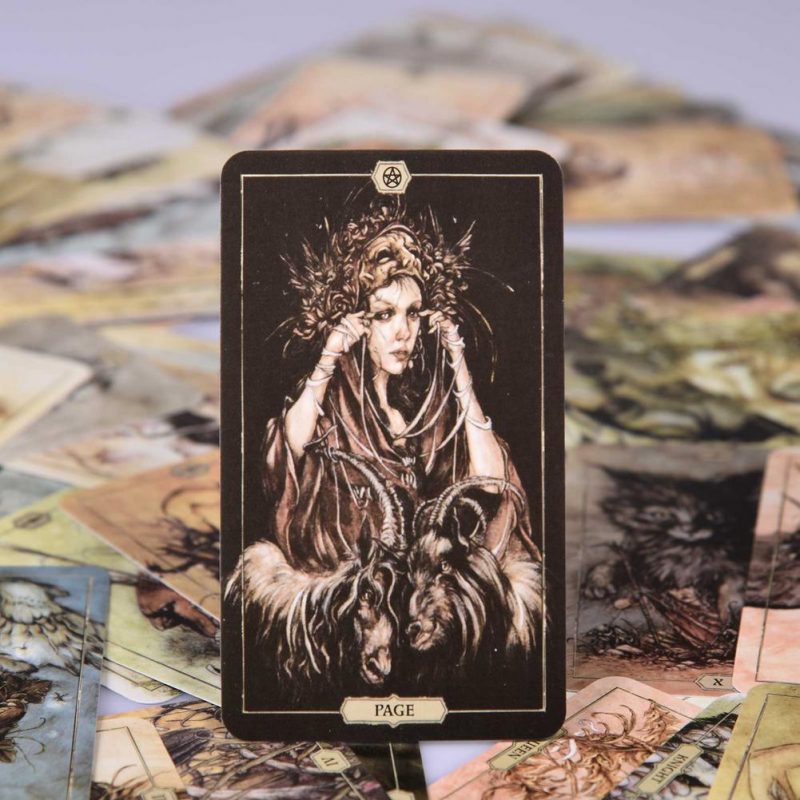 Hush Tarot Deck – Buy Real Tarot Cards in the USA